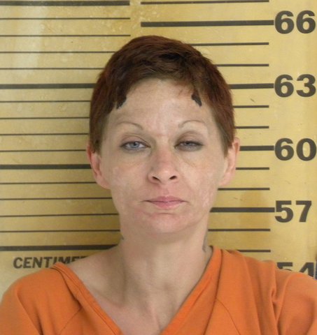 Polson prompts parking lot pursuit, possesses prohibited paraphernalia ...