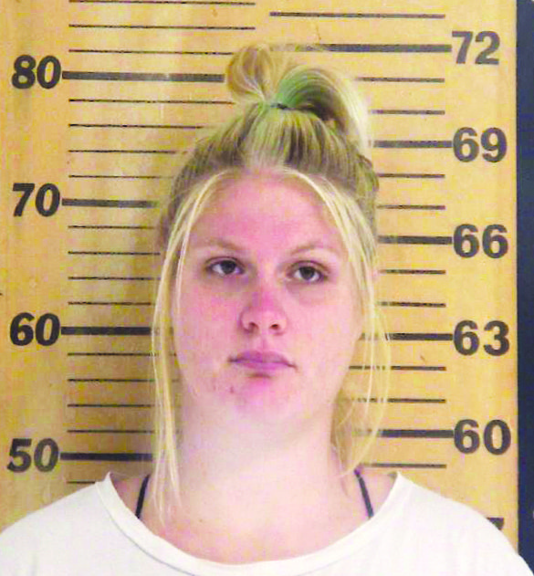 Drug dog lends helping paw in fentanyl bust - Southern Standard