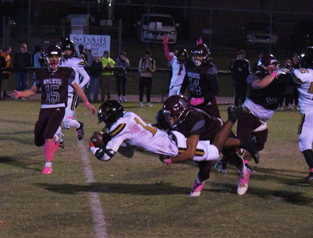 Tigers in Postseason with Win Over Warriors - Smithville Review