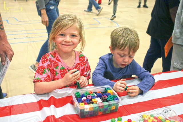 Dibrell holds STEM night - Southern Standard